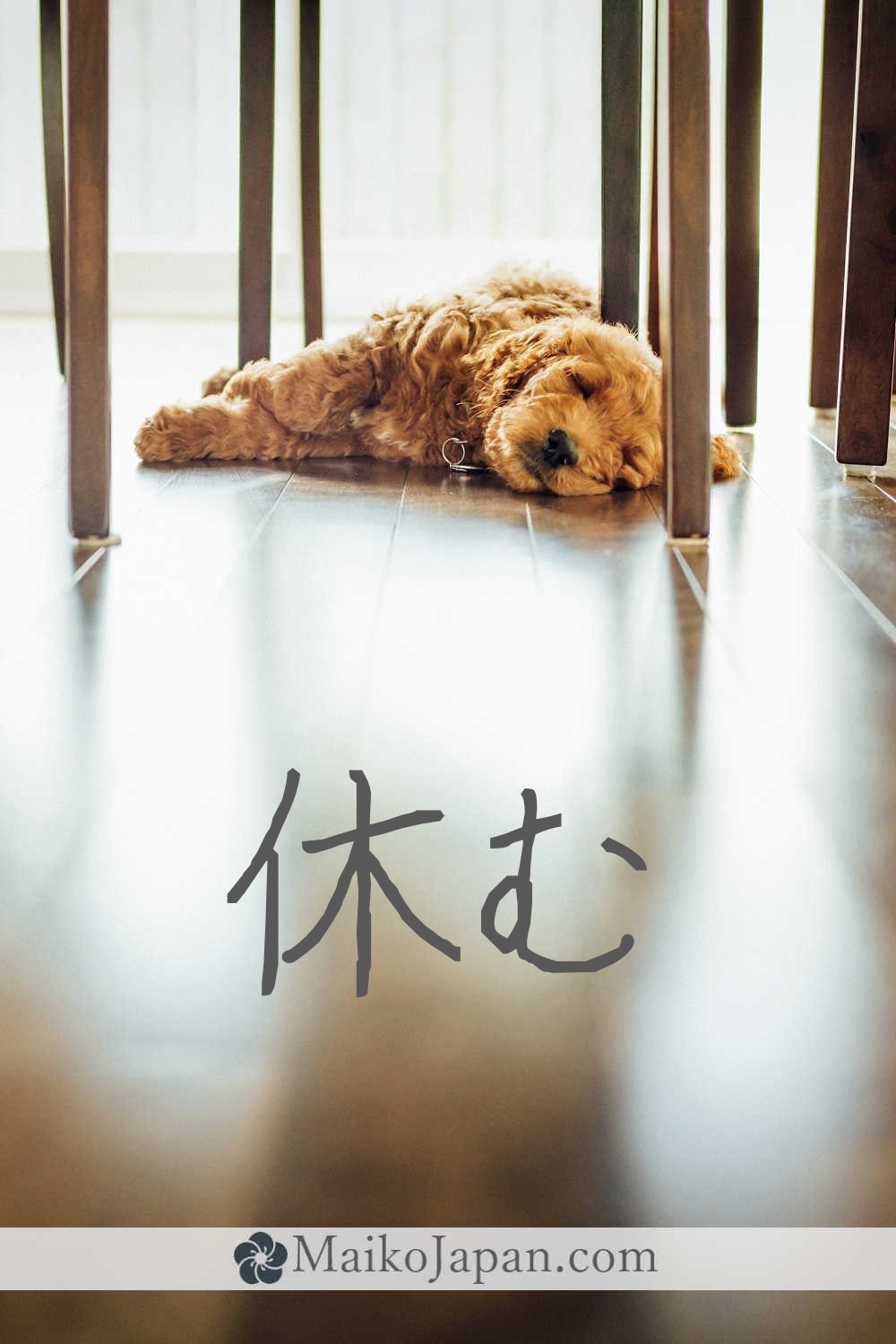 [休] Handwritten Kanji for rest and its Readings, Radical and Usage ...