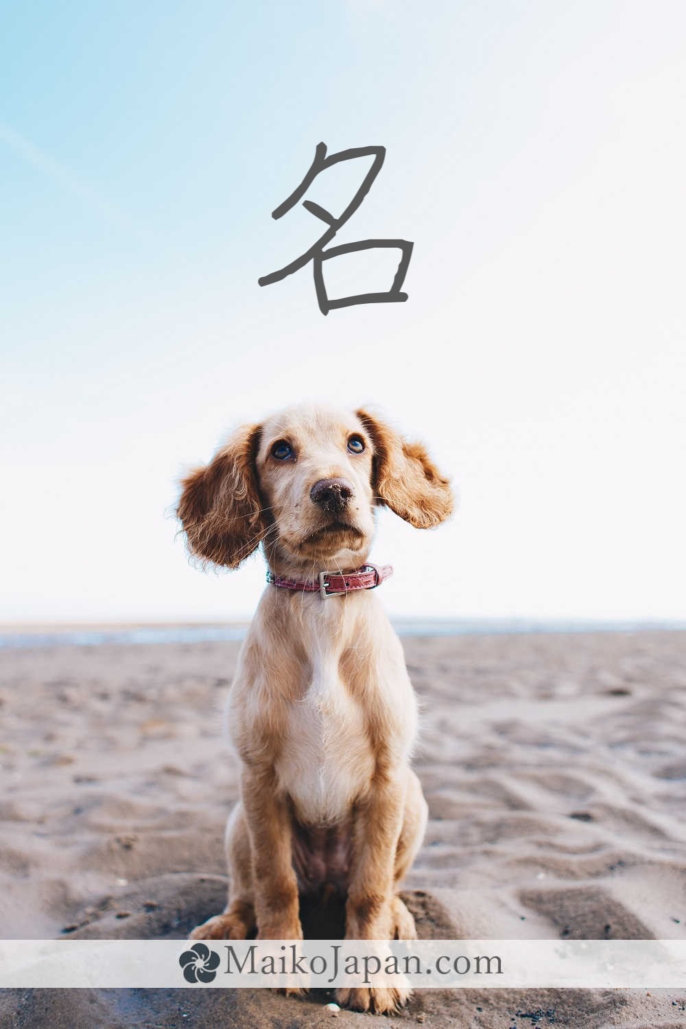 [名] Handwritten Kanji for name and its Readings, Radical and Usage ...