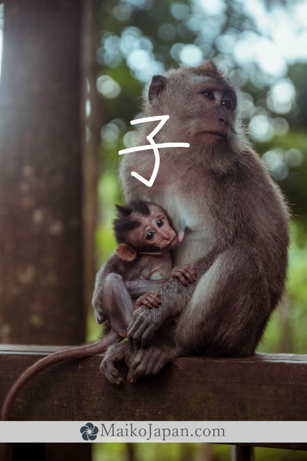 [子] Handwritten Kanji for child and its Readings, Radical and Usage ...