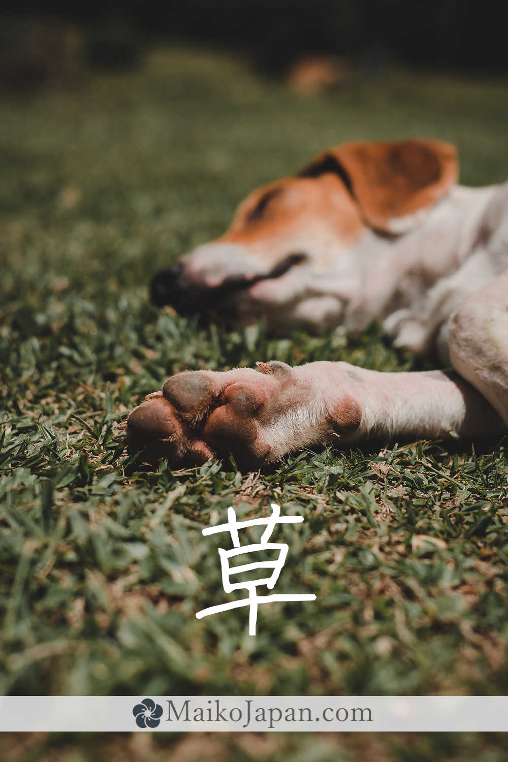 [草] Handwritten Kanji for grass and its Readings, Radical and Usage ...