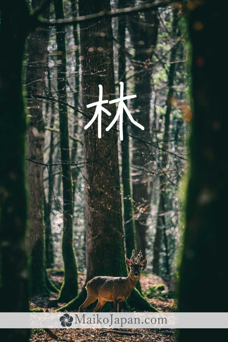[林] Handwritten Kanji for woods and its Readings, Radical and Usage ...