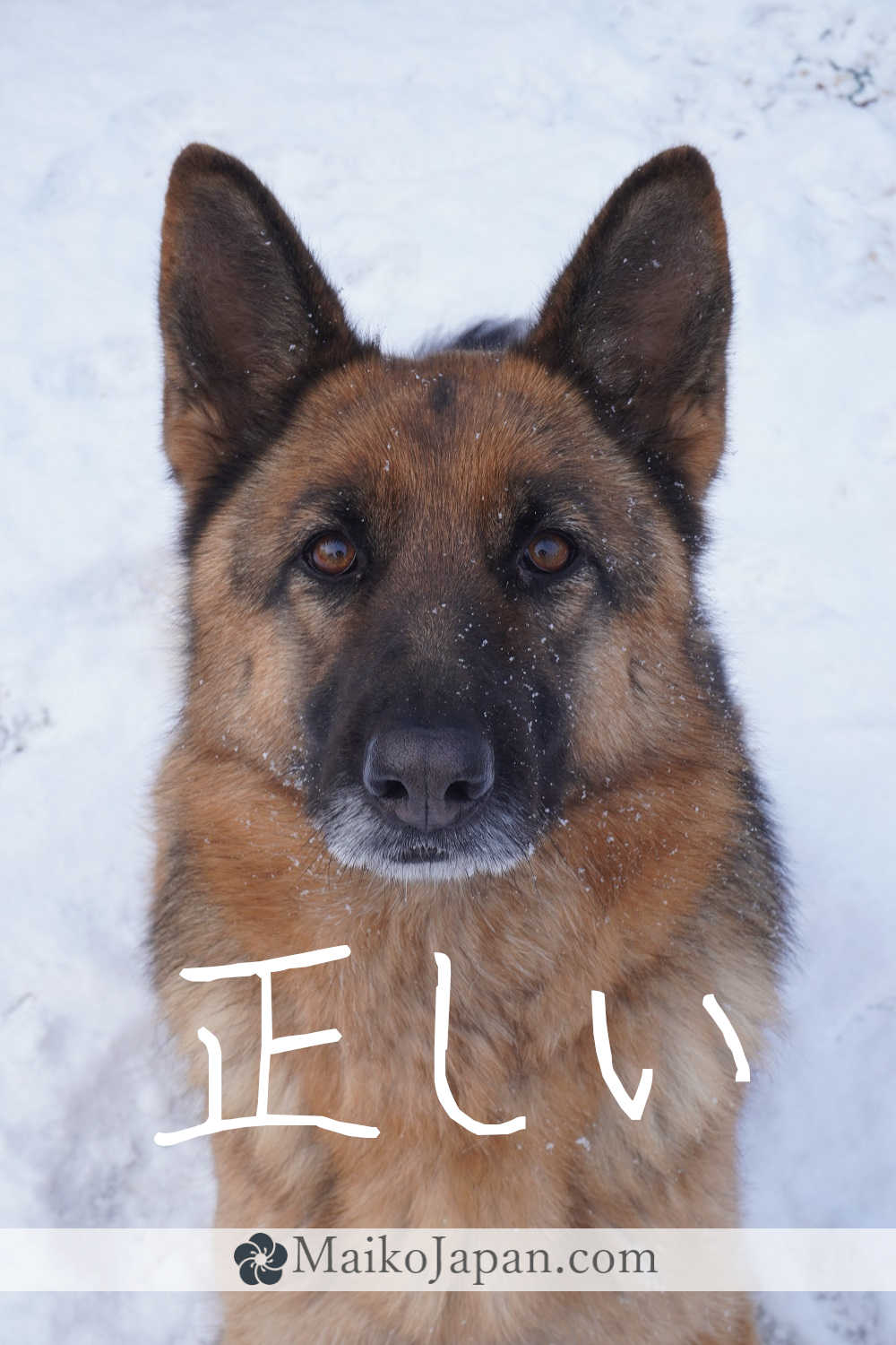 [正] Handwritten Kanji for right and its Readings, Radical and Usage ...