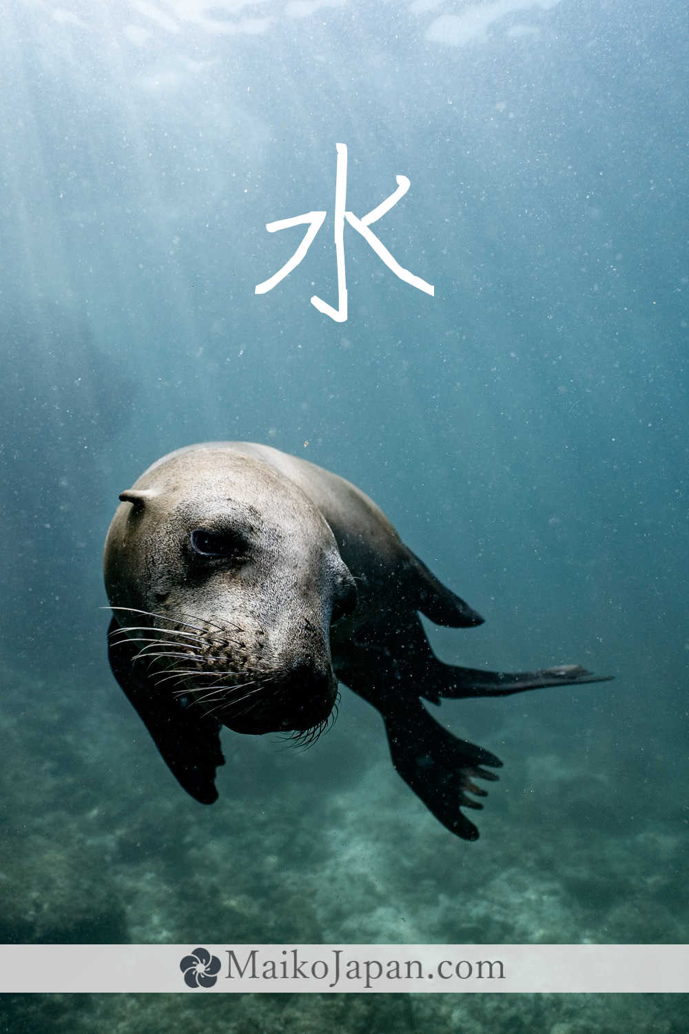 [水] Handwritten Kanji for water and its Readings, Radical and Usage ...