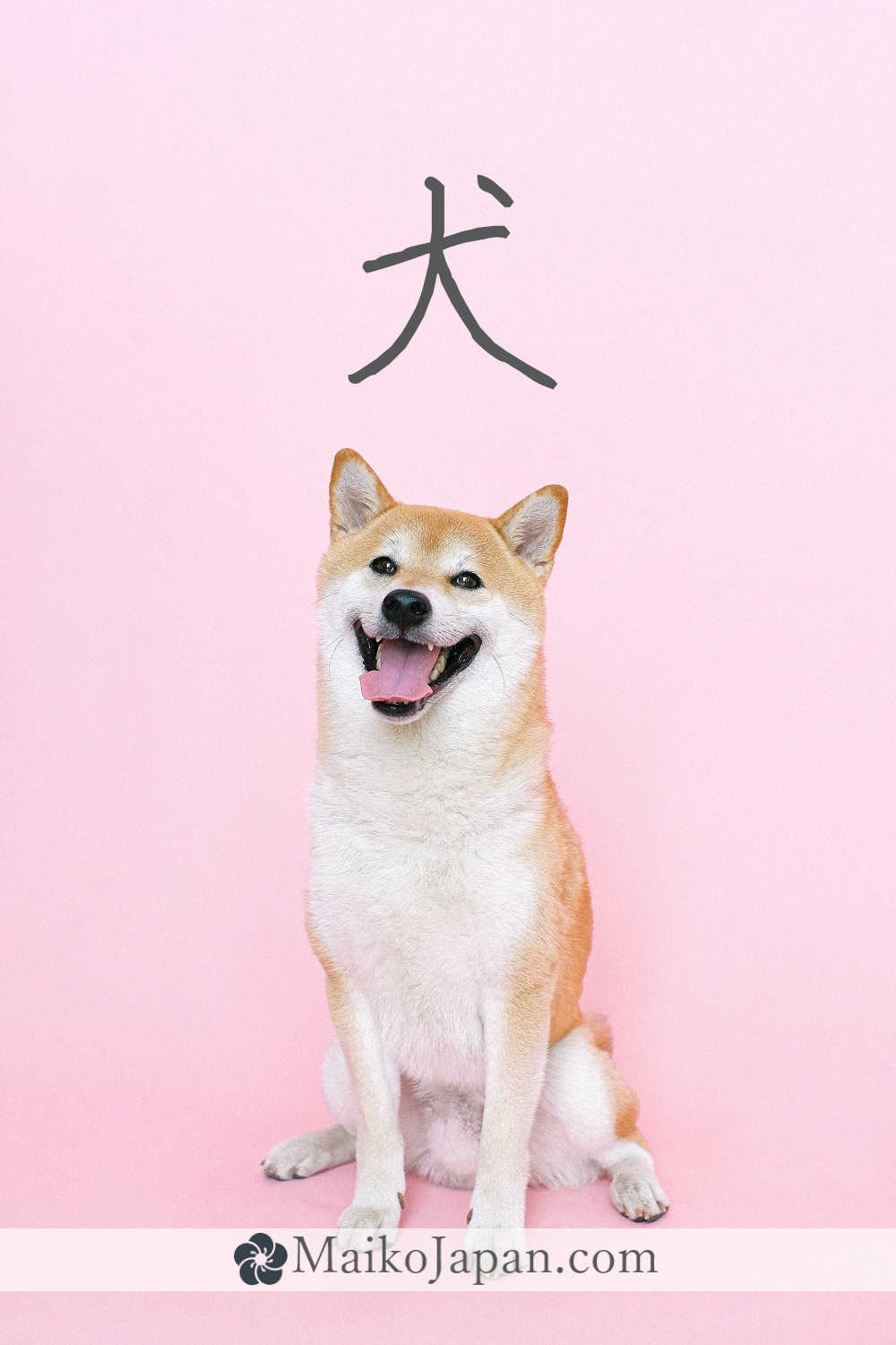 [犬] Handwritten Kanji for dog and its Readings, Radical and Usage ...