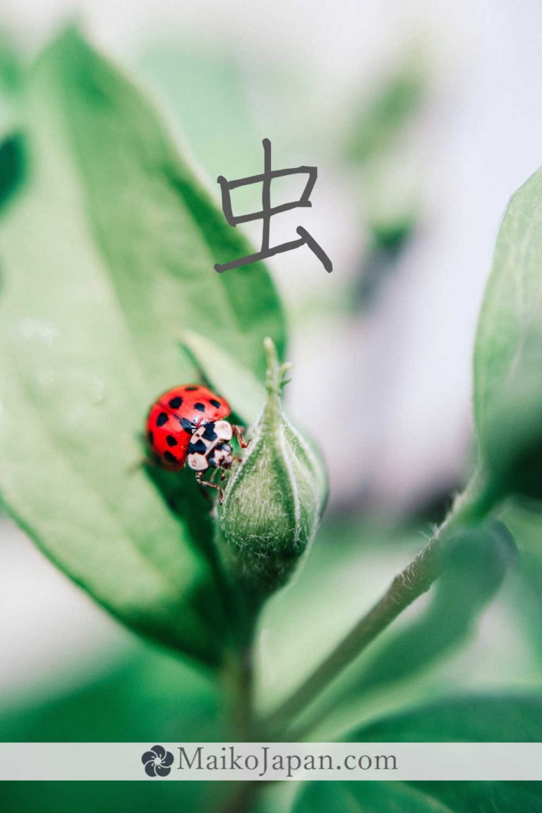 [虫] Handwritten Kanji for insect and its Readings, Radical and Usage ...