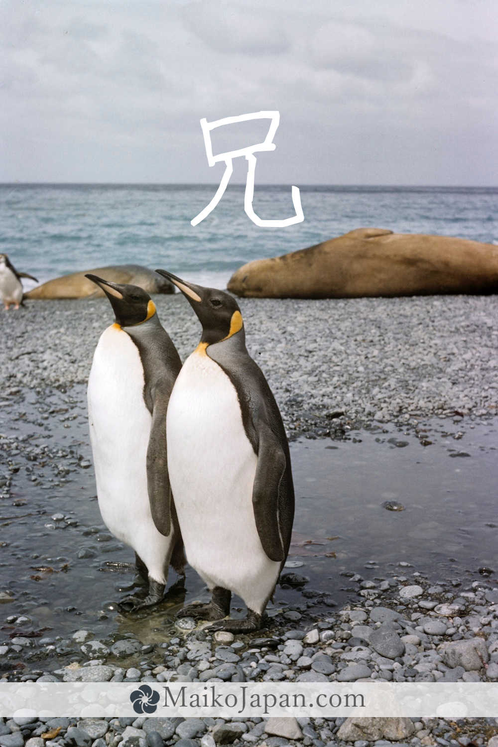 [兄] Handwritten Kanji for older brother and its Readings, Radical and ...