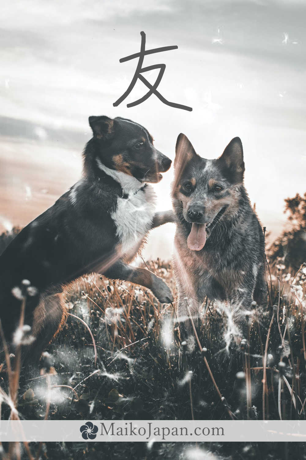 [友] Handwritten Kanji for friend and its Readings, Radical and Usage ...