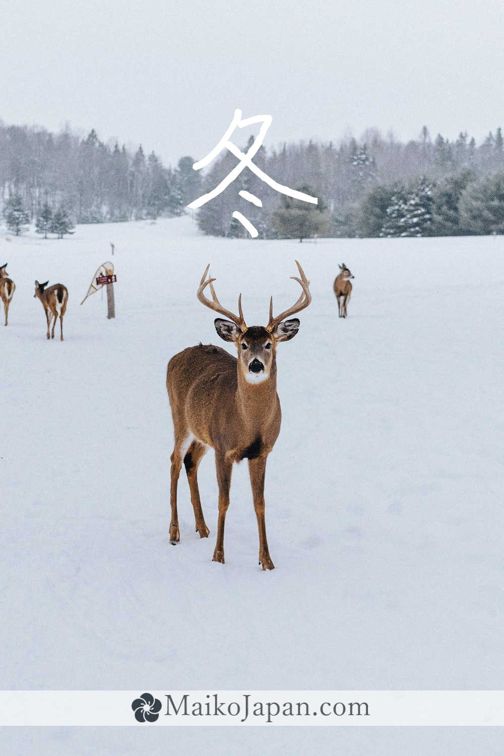 [冬] Handwritten Kanji for winter and its Readings, Radical and Usage ...