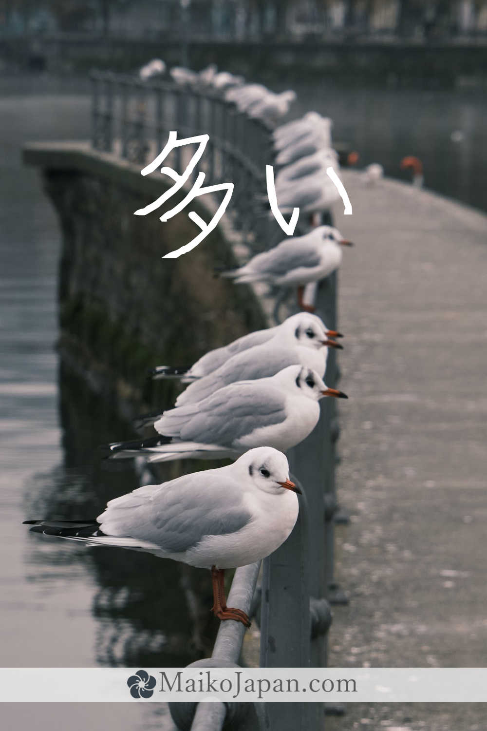 [多] Handwritten Kanji for many and its Readings, Radical and Usage ...