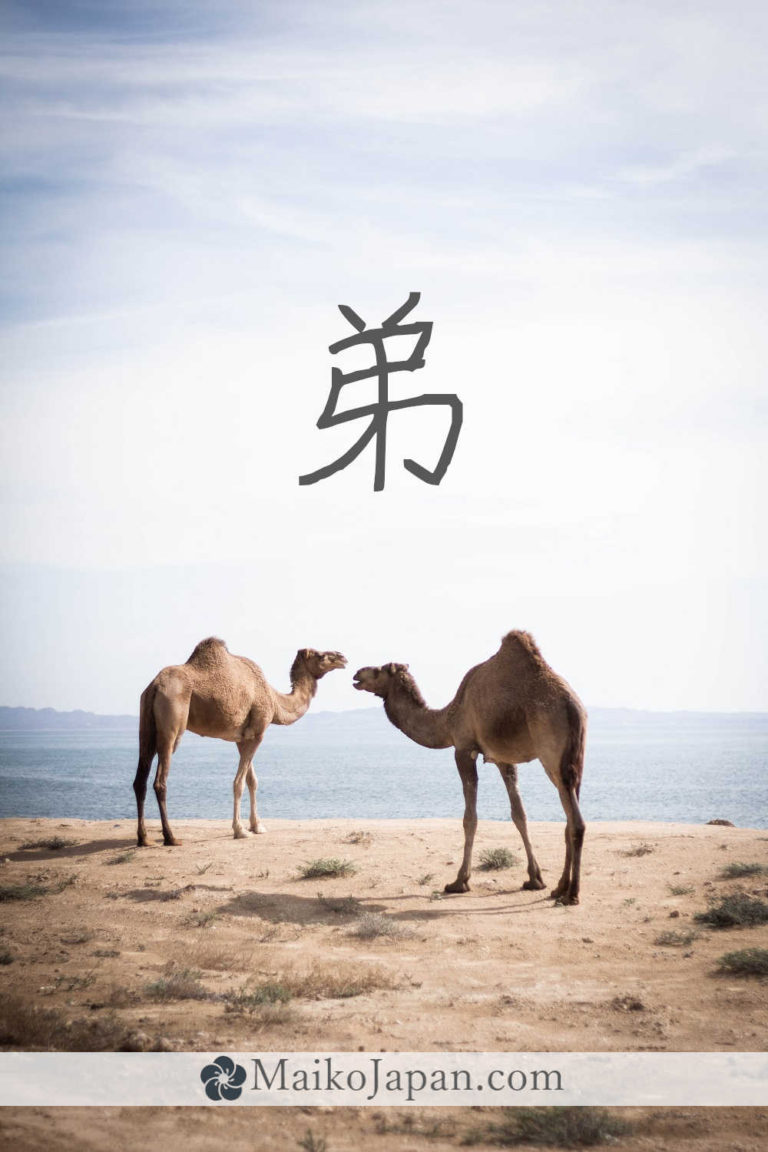 [弟] Handwritten Kanji for younger brother and its Readings, Radical and ...