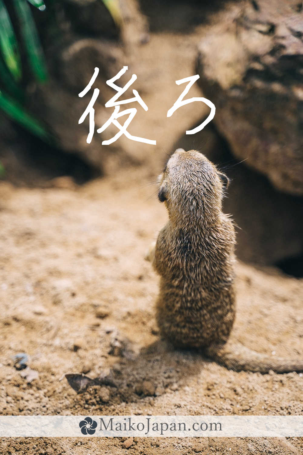 [後] Handwritten Kanji for after and its Readings, Radical and Usage ...