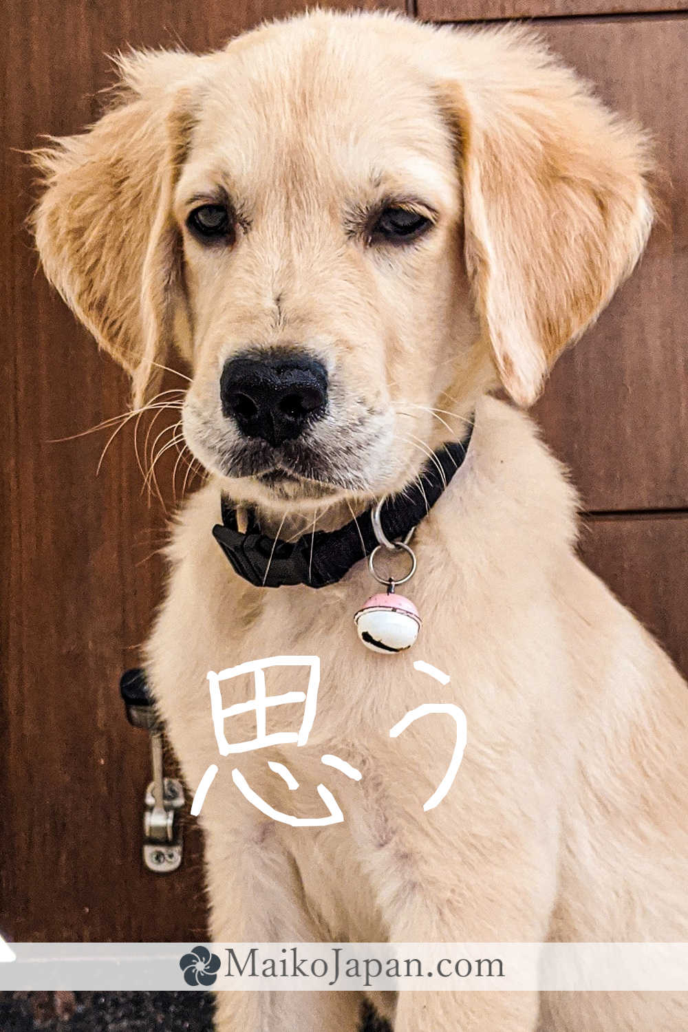 [思] Handwritten Kanji for think and its Readings, Radical and Usage ...