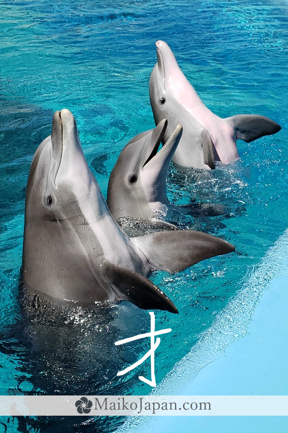 [才] Handwritten Kanji for talent and its Readings, Radical and Usage ...