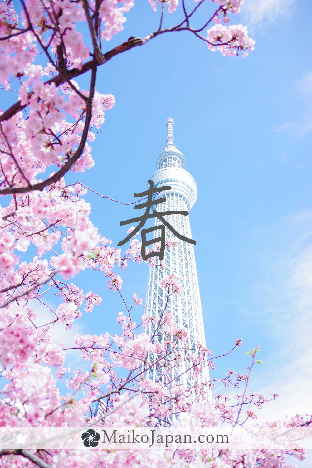 [春] Handwritten Kanji for spring and its Readings, Radical and Usage ...