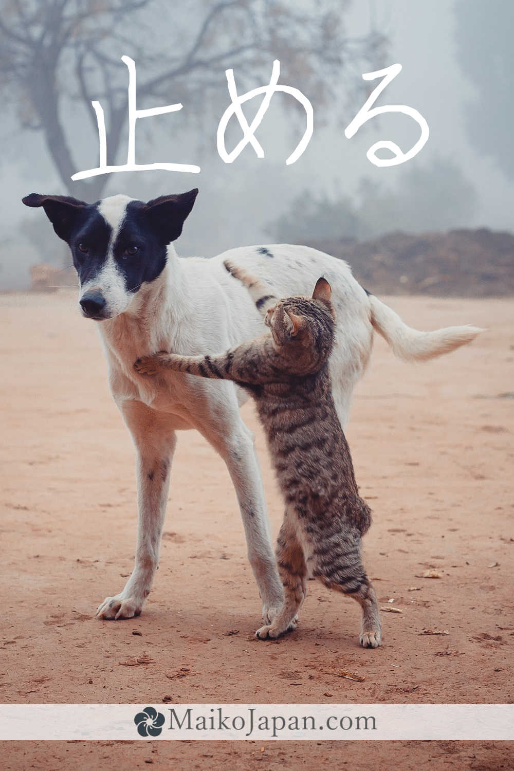 [止] Handwritten Kanji for stop and its Readings, Radical and Usage ...