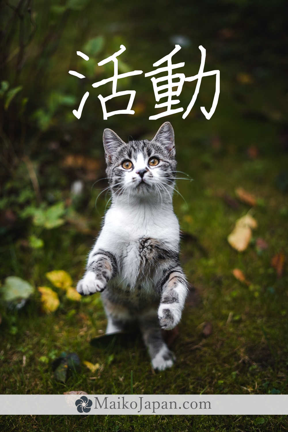 [活] Handwritten Kanji for alive and its Readings, Radical and Usage ...