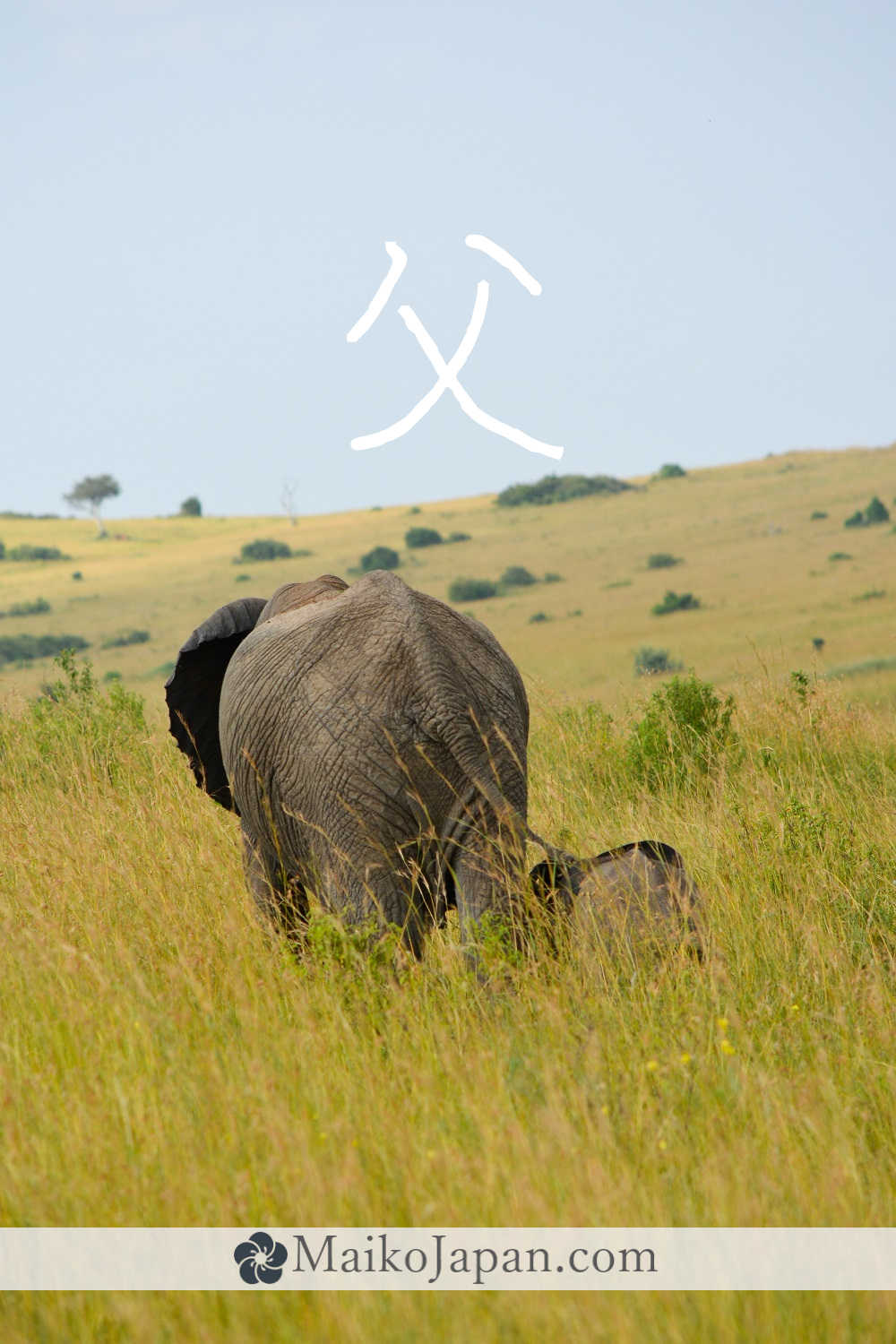 [父] Handwritten Kanji for father and its Readings, Radical and Usage ...