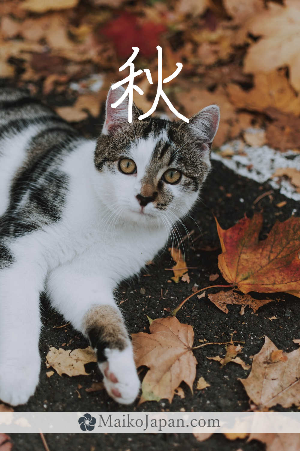 [秋] Handwritten Kanji for fall and its Readings, Radical and Usage ...