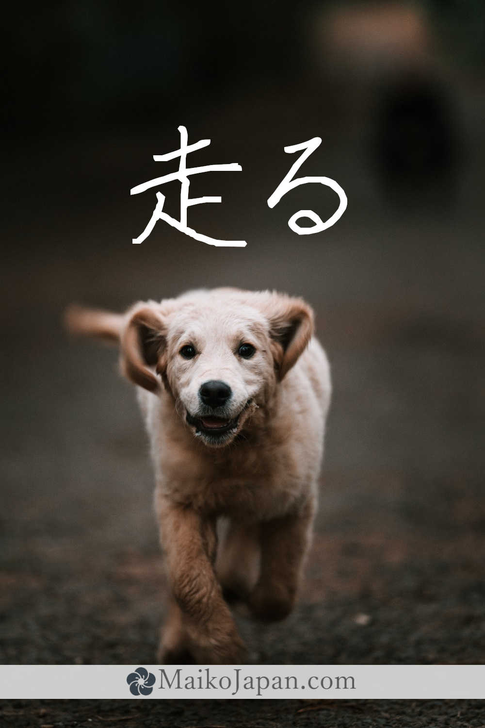 [走] Handwritten Kanji for run and its Readings, Radical and Usage ...