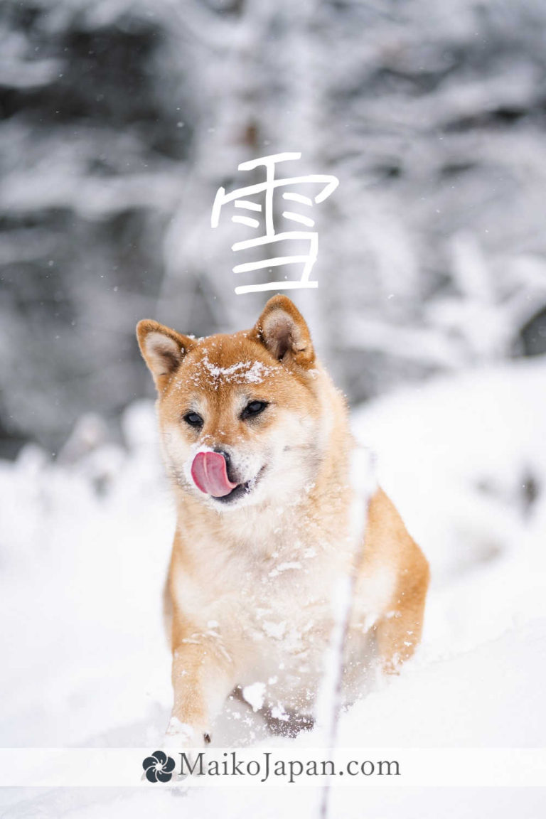 [雪] Handwritten Kanji for snow and its Readings, Radical and Usage ...