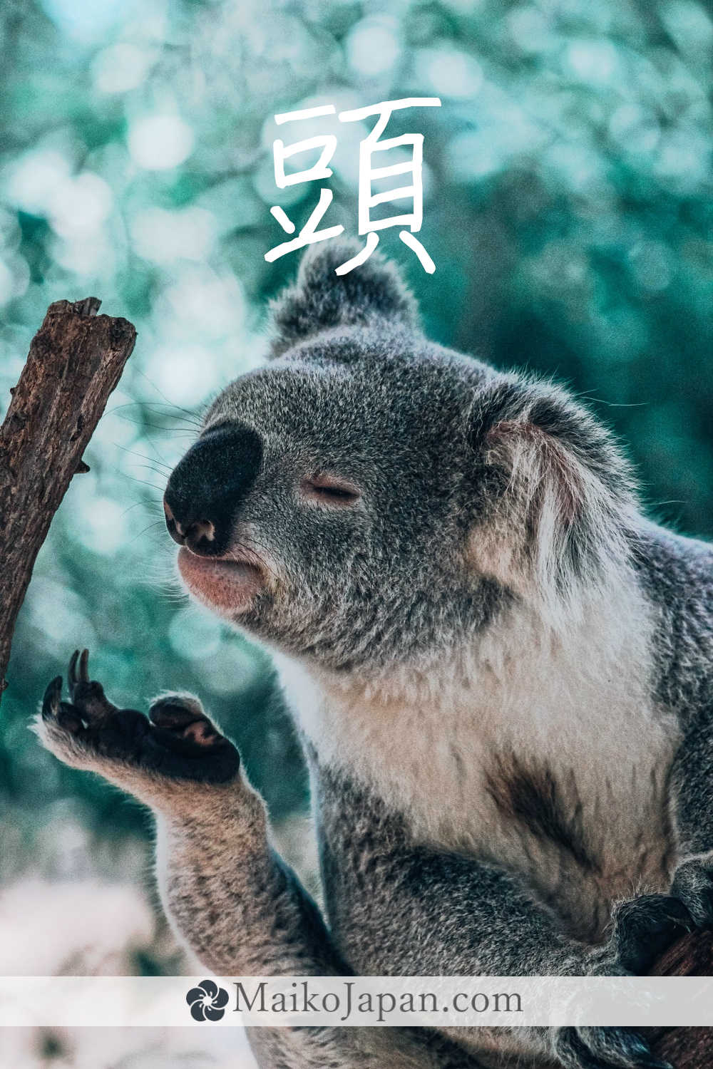 [頭] Handwritten Kanji for head and its Readings, Radical and Usage ...