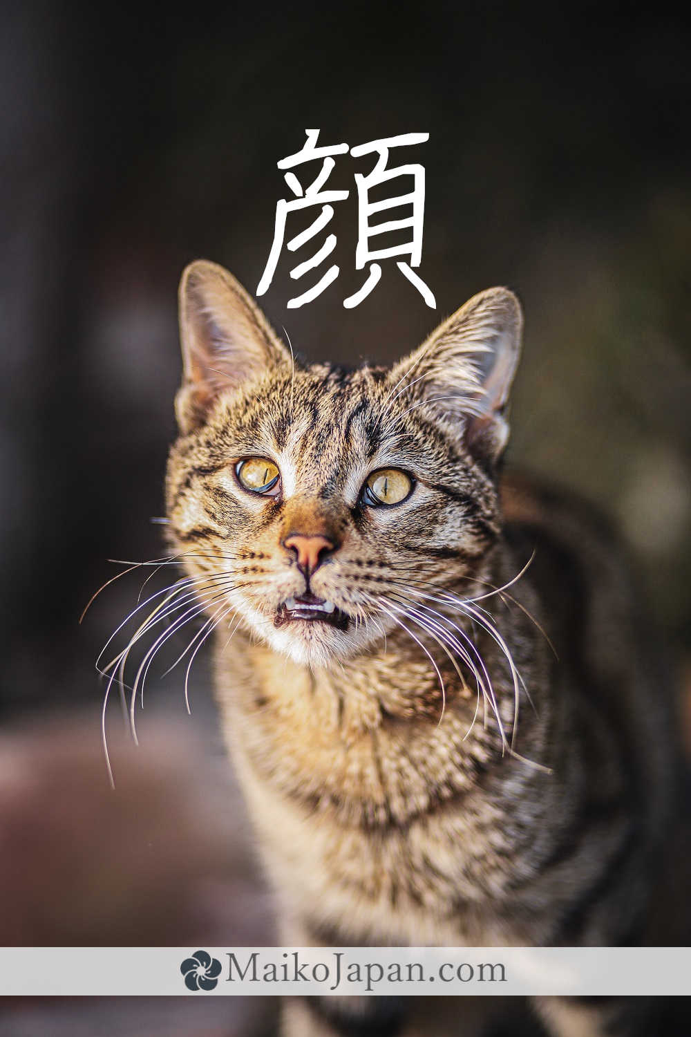 [顔] Handwritten Kanji for face and its Readings, Radical and Usage ...