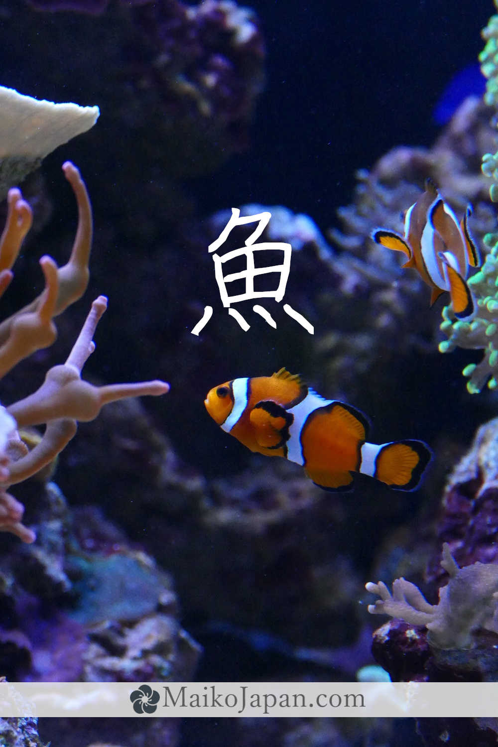 [魚] Handwritten Kanji for fish and its Readings, Radical and Usage ...