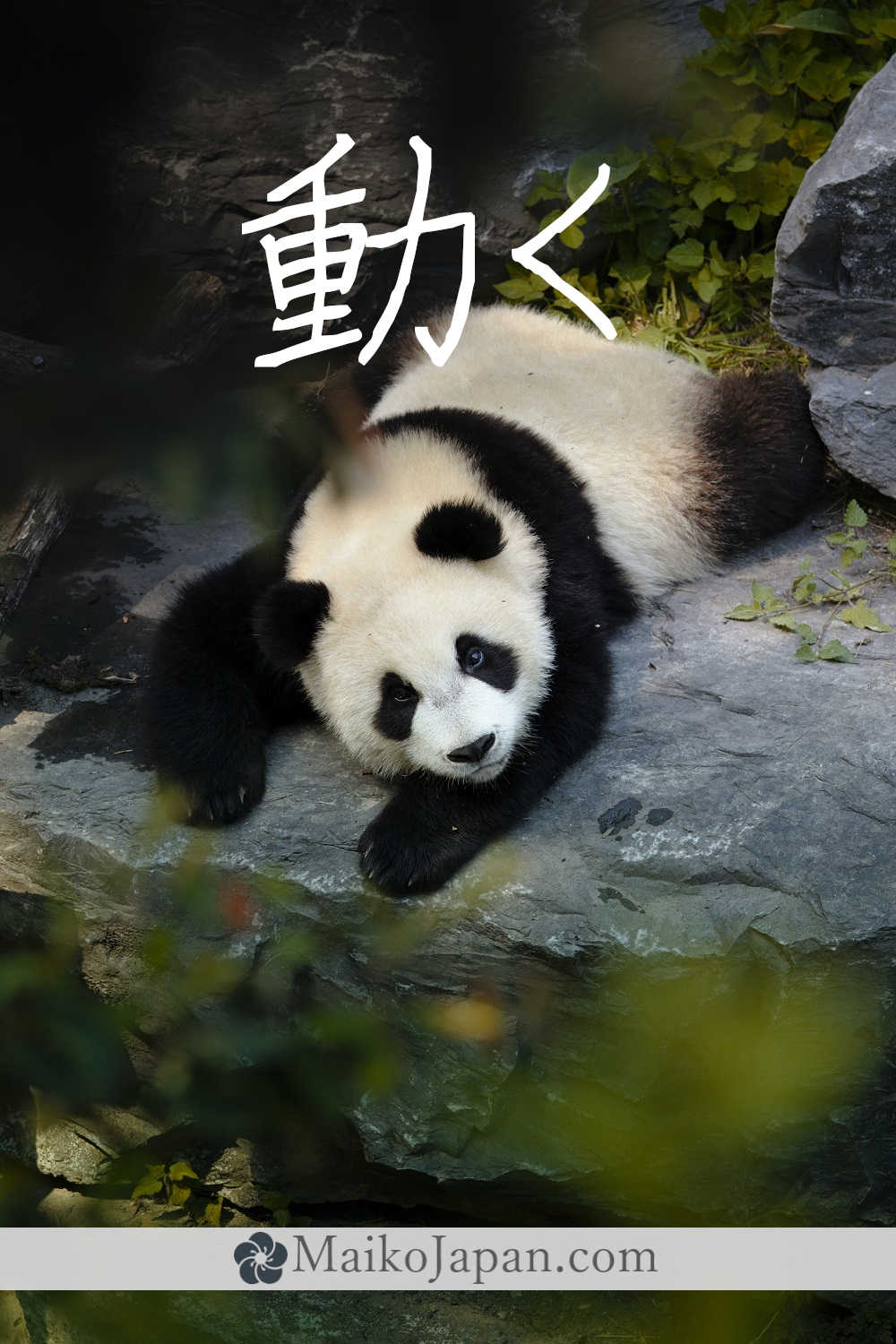 [動] Handwritten Kanji for to move and its Readings, Radical and Usage ...