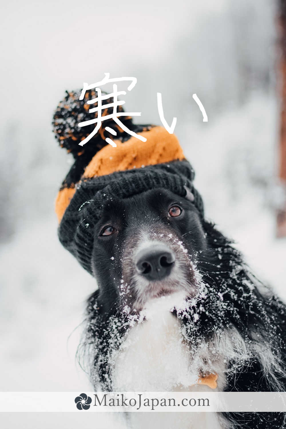 [寒] Handwritten Kanji for cold and its Readings, Radical and Usage ...