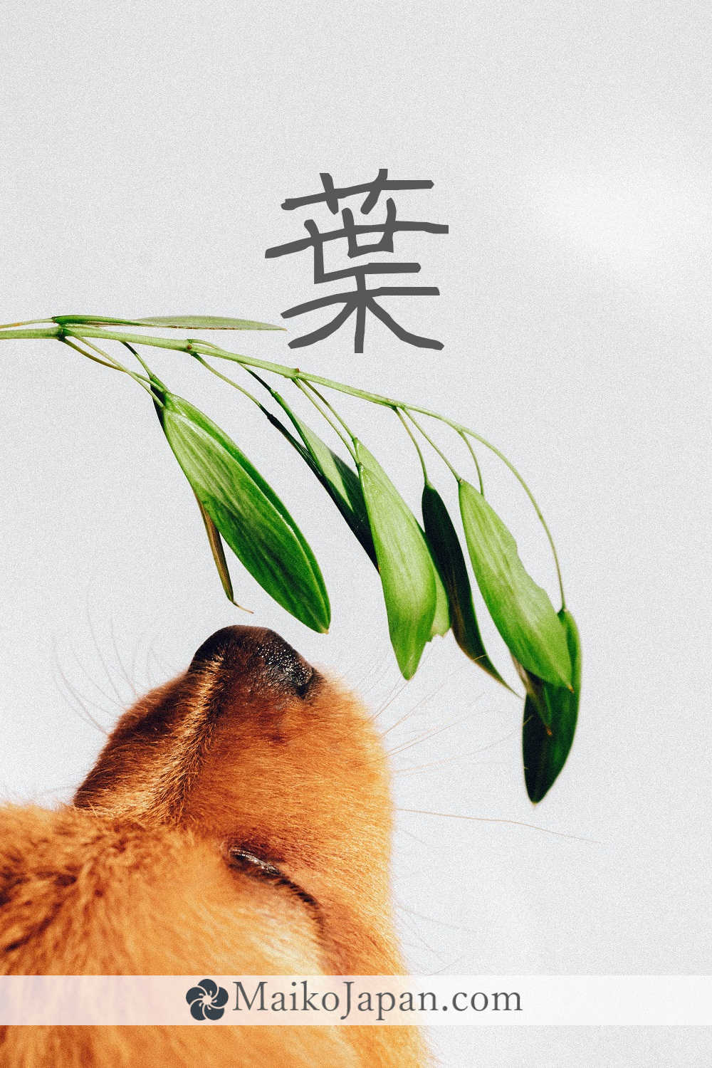 [葉] Handwritten Kanji for leaf and its Readings, Radical and Usage ...