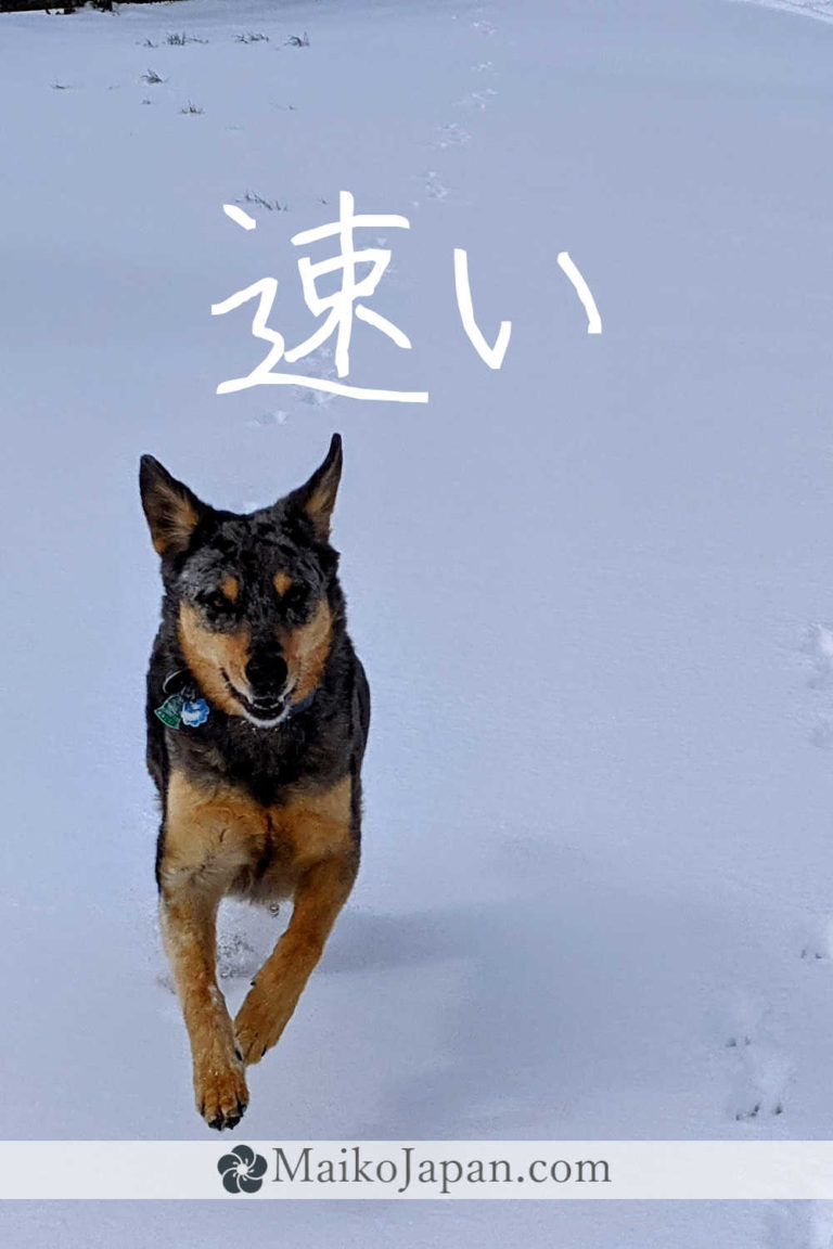 [速] Handwritten Kanji for fast and its Readings, Radical and Usage ...