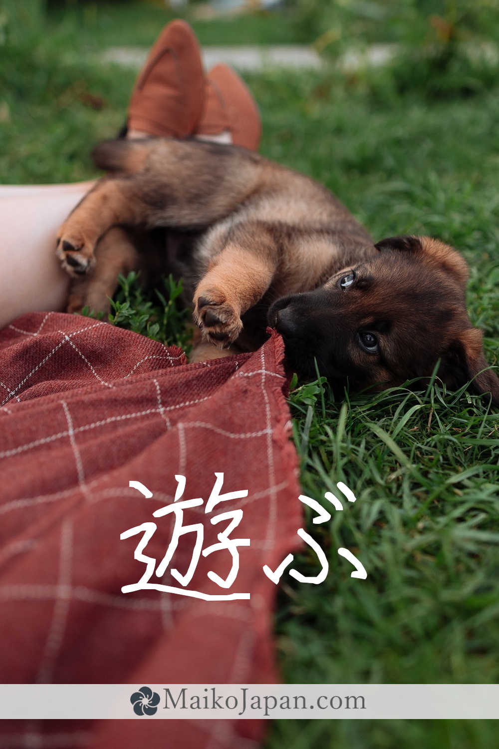 [遊] Handwritten Kanji for to play and its Readings, Radical and Usage ...
