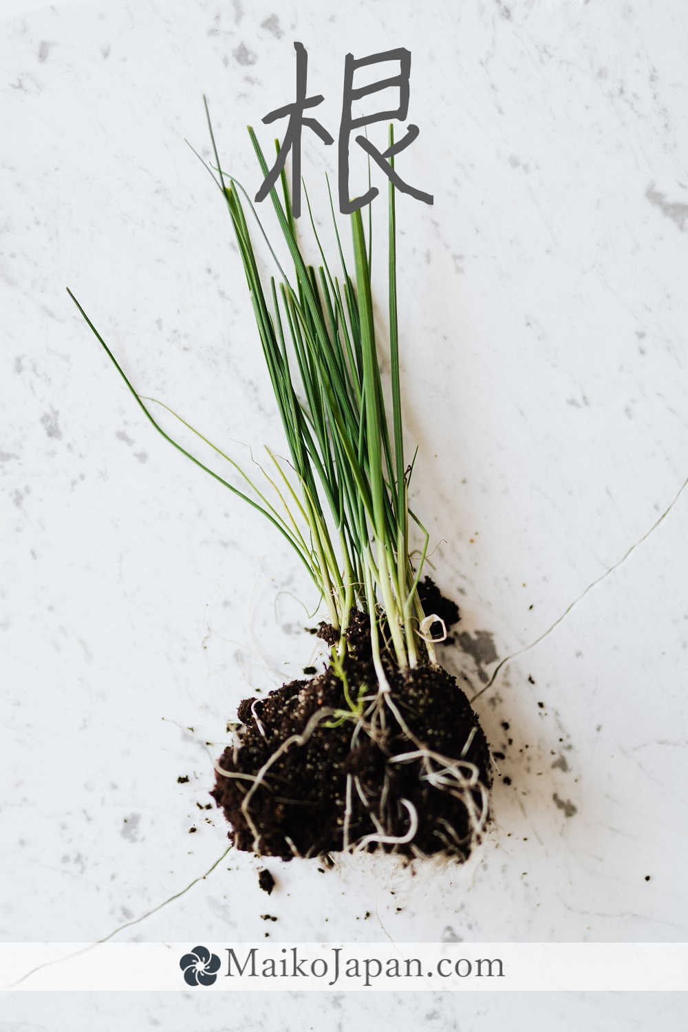 [根] Handwritten Kanji for root and its Readings, Radical and Usage ...