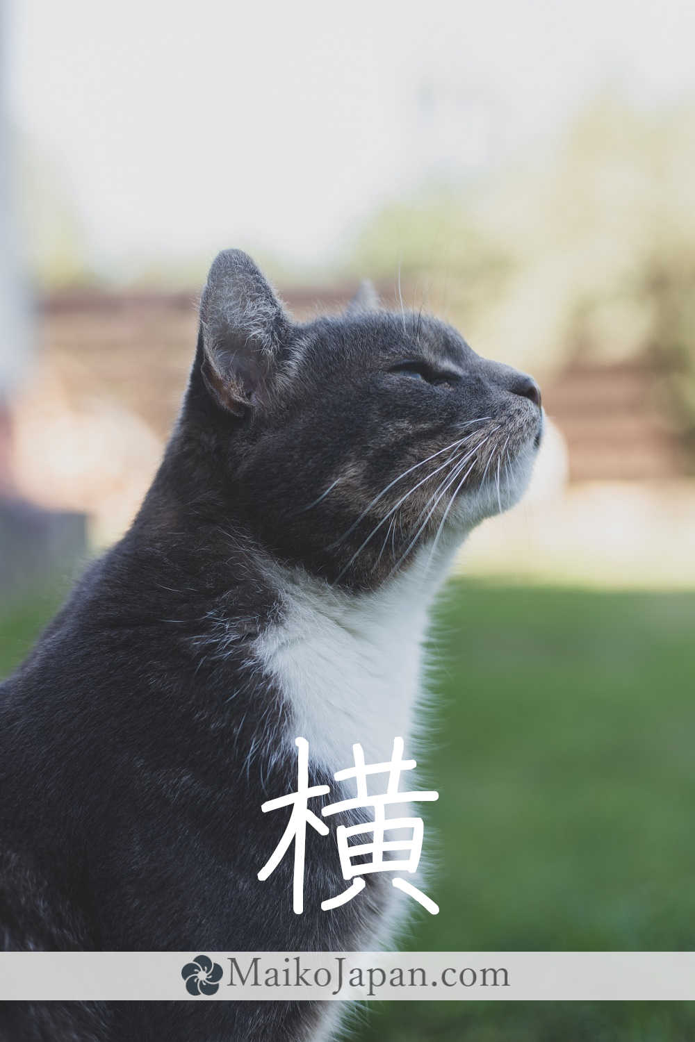 [横] Handwritten Kanji for side and its Readings, Radical and Usage ...