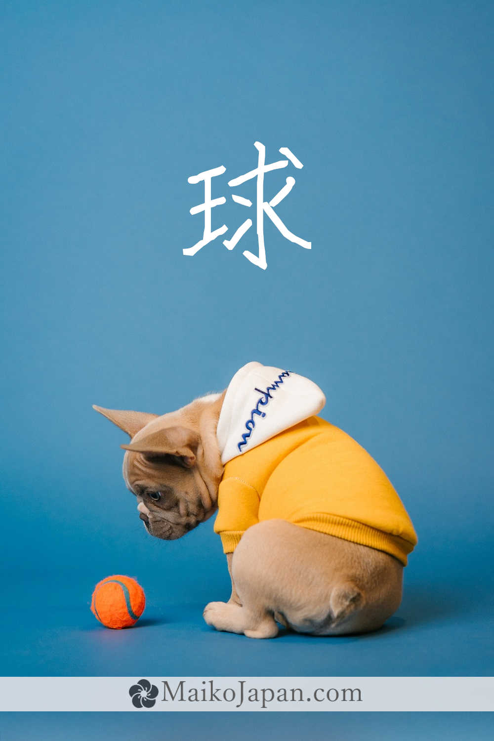 [球] Handwritten Kanji for ball and its Readings, Radical and Usage ...