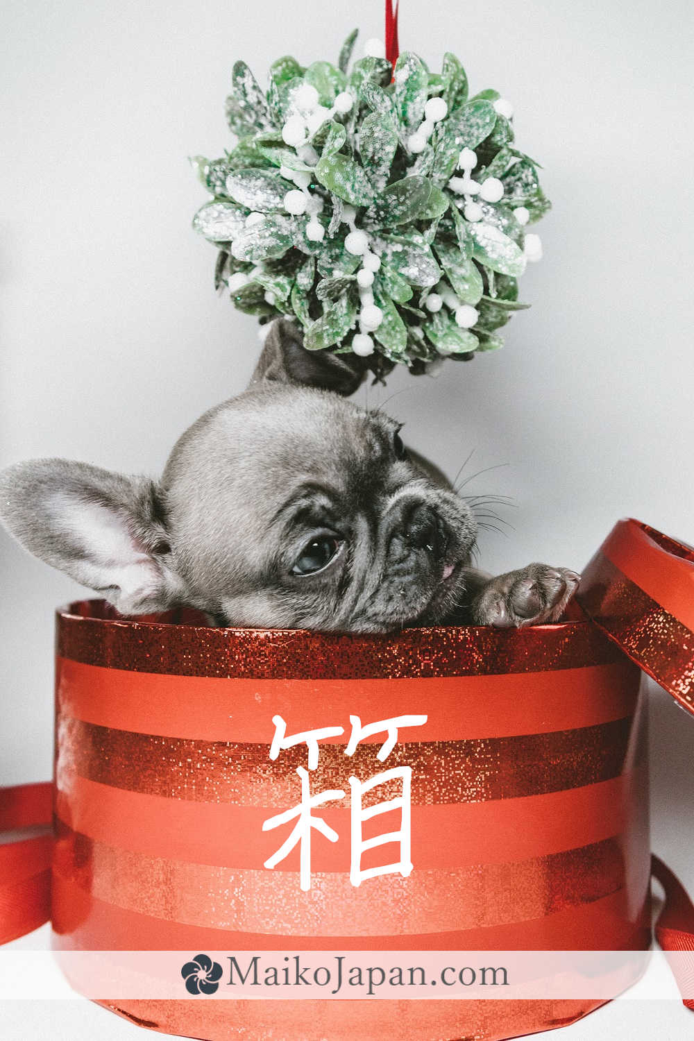 [箱] Handwritten Kanji for box and its Readings, Radical and Usage ...