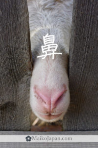 [鼻] Handwritten Kanji for nose and its Readings, Radical and Usage ...